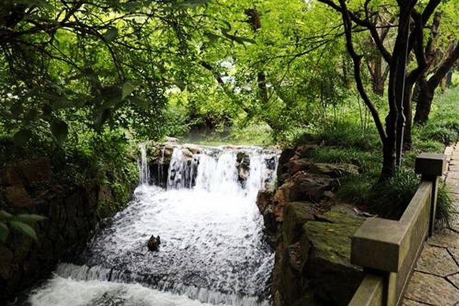 Half-Day Hangzhou Tianzhu Buddhist Mountain Hiking Tour with Green Tea Village - Visiting the Longjing Tea Fields — A Highlight