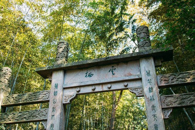 Half-Day Hangzhou Yunxi Bamboo Forest and Tea Plantation Experience - Stop 2: Longjing Tea Fields and Village