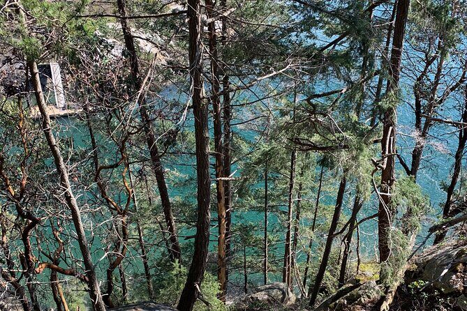 Half-day Hike and Bike Tour in Vancouver - Final Thoughts