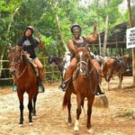 Half Day Horseback Riding Adventure with Cenotes in the Jungle - Itinerary and Activities: What to Expect