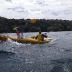 Half-Day Kayak to the Maori Rock Carvings in Lake Taupo - Authentic Feedback from Travelers