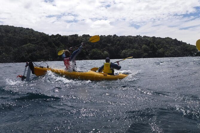 Half-Day Kayak to the Maori Rock Carvings in Lake Taupo - Authentic Feedback from Travelers