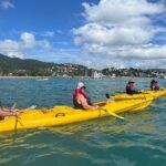 Half Day Kayak Turtle Tour - The Price and Value Proposition