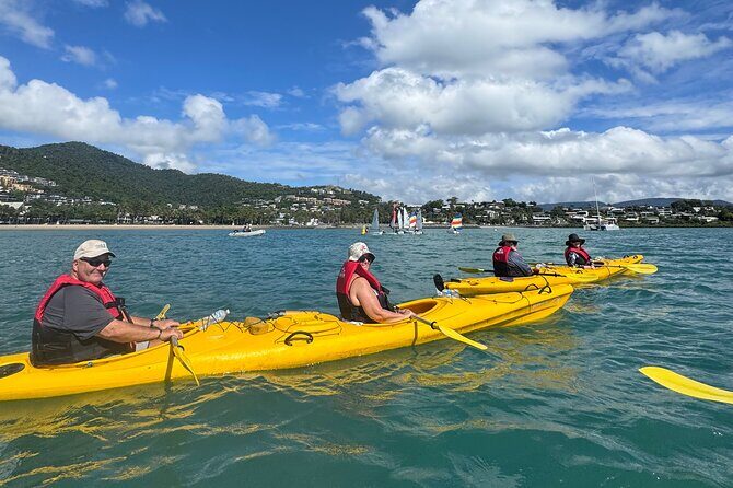 Half Day Kayak Turtle Tour - The Price and Value Proposition