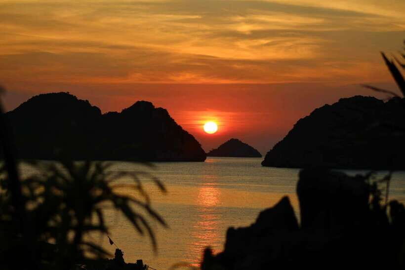 Half day Lan Ha Bay excursion ( 4 hours ): Kayaking, Snorkel - Authentic Feedback From Travelers