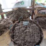 Half Day Long Neck hill tribe and Elephant POOPOOPAPER Park (Private Tour) - Who Is This Tour Best For?