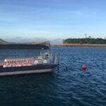 Half Day Low Island and Lagoon Snorkeling from Port Douglas - Who Should Consider This Tour?