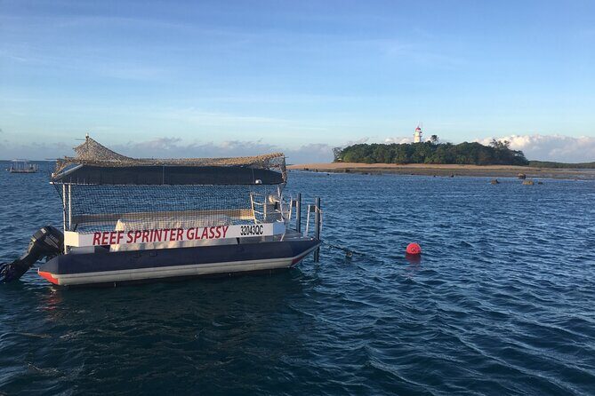 Half Day Low Island and Lagoon Snorkeling from Port Douglas - Who Should Consider This Tour?