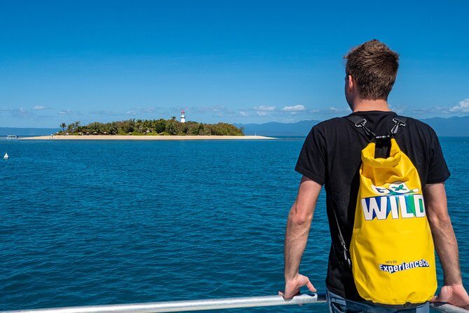 Half Day Low Isles Snorkelling Tour from Port Douglas - Practicalities and Value