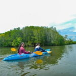 Half Day Mangrove Kayaking Adventure Tour From Koh Lanta - Practical Details