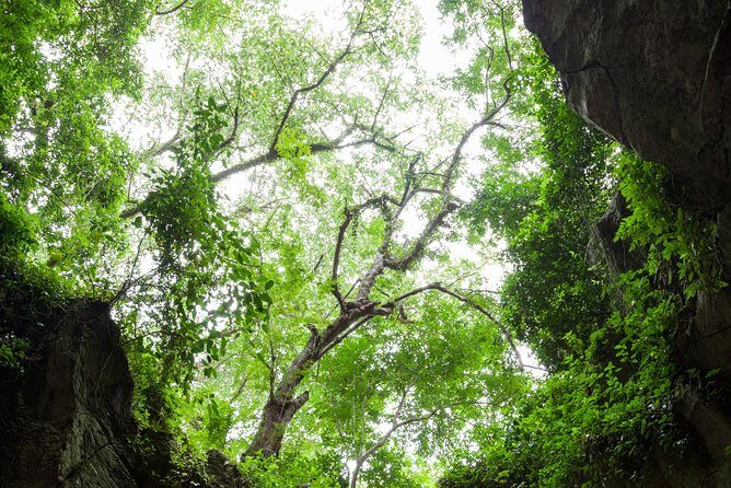 Half day Marble Mountain and Linh Ung Pagoda Tour - The Sum Up