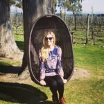 Half-Day Marlborough Wine Tour & Beer Tour - The Itinerary in Detail