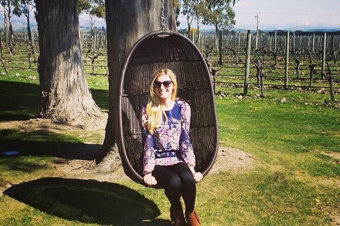 Half-Day Marlborough Wine Tour & Beer Tour - The Itinerary in Detail
