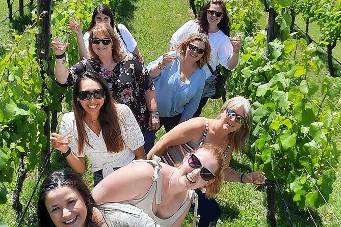 Half Day Martinborough Winery Tour from Wellington - The Itinerary in Detail