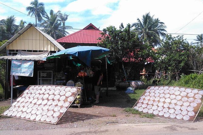Half day morning bicycle tour to Explore local livelihood and test local snacks - Deep Dive into the Tour Experience