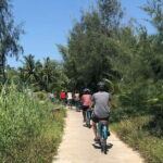 Half-Day My Son Sanctuary Bike Tour from Hoi An - An In-Depth Look at What You Can Expect