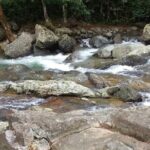 Half-Day Nadi Tour: Lookout, Temple & Village - What the Reviews Say