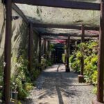 Half Day Nadi Tour Temple, Market, Gardens and Mud Pools - What Real Travelers Are Saying