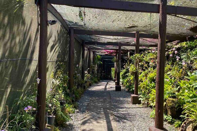 Half Day Nadi Tour Temple, Market, Gardens and Mud Pools - What Real Travelers Are Saying