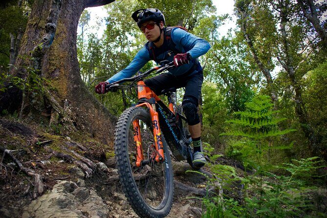 Half Day Nelson Electric Mountain Bike Rental Adventure - What to Expect: Riding Nelson’s Trails on an eMTB