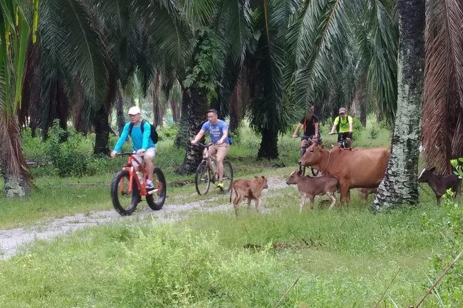 Half-Day Penang Countryside Cycling Tour - What You Can Expect From the Experience