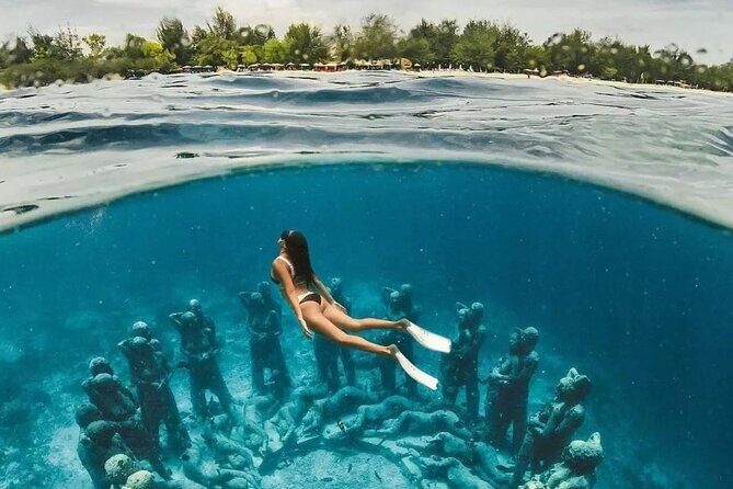 Half-Day Private Guided Snorkeling Turtles Underwater Statues - Who Should Book This Tour?