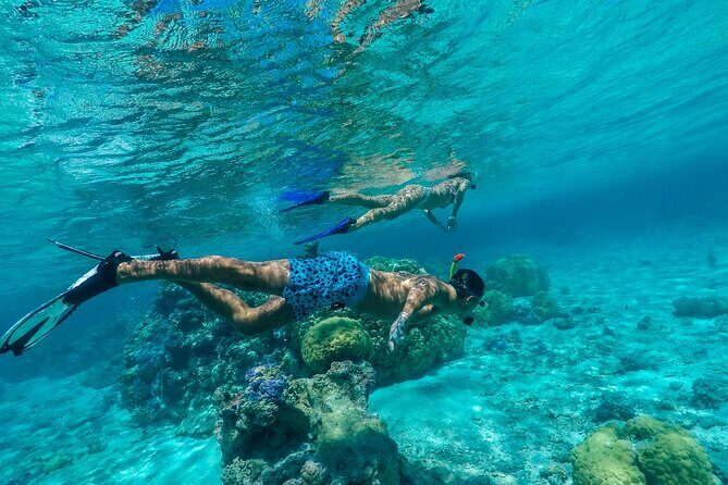 Half Day Private Lagoon Snorkeling Experience - Why This Tour Gets High Praise