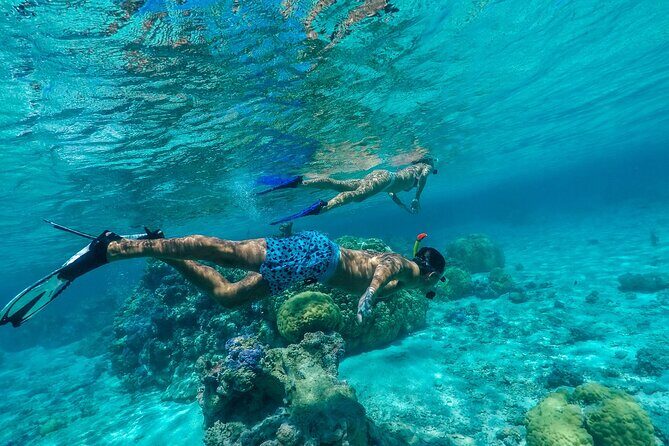Half-Day Private Luxury Tour from Bora Bora - The Booking and Practicalities