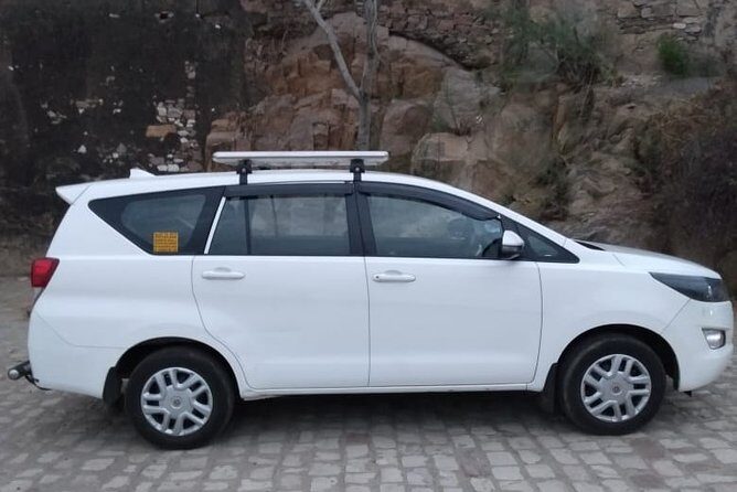 Half-Day Private Sightseeing tour to Wildlife SOS from Agra - The Practical Side: Transportation, Costs, and Comfort