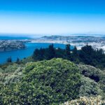 Half day Private Tour of Dunedin City Highlights and Peninsula Scenery - How the Tour Works in Practice