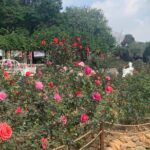 Half Day Private Tour to Yuntai Garden and Baiyun Mountain in Guangzhou - Analyzing the Value