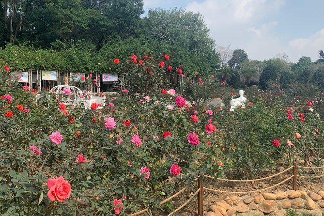 Half Day Private Tour to Yuntai Garden and Baiyun Mountain in Guangzhou - Analyzing the Value
