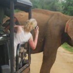 Half Day Safari Guided Tour - Why Choose This Tour?