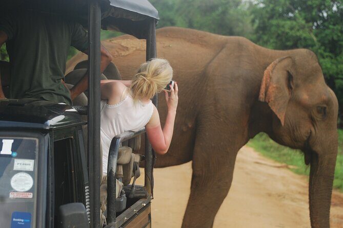 Half Day Safari Guided Tour - Why Choose This Tour?
