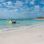 Half-Day Sea Turtle and Cenote Snorkeling Tour from Cancun & Riviera Maya - The Itinerary: Detailed Breakdown