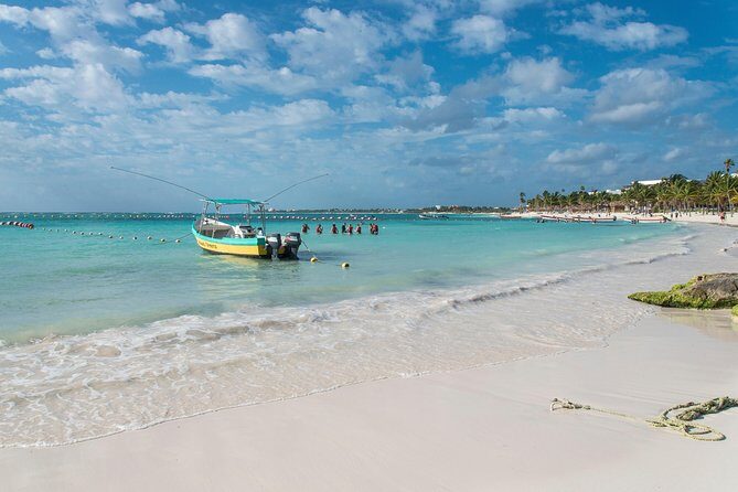 Half-Day Sea Turtle and Cenote Snorkeling Tour from Cancun & Riviera Maya - The Itinerary: Detailed Breakdown