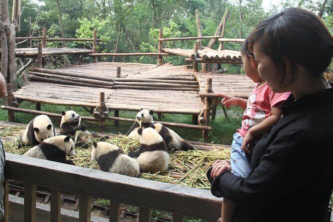 Half-Day Self-Guided Chengdu Panda Research Base Tour - Who Should Consider This Tour?