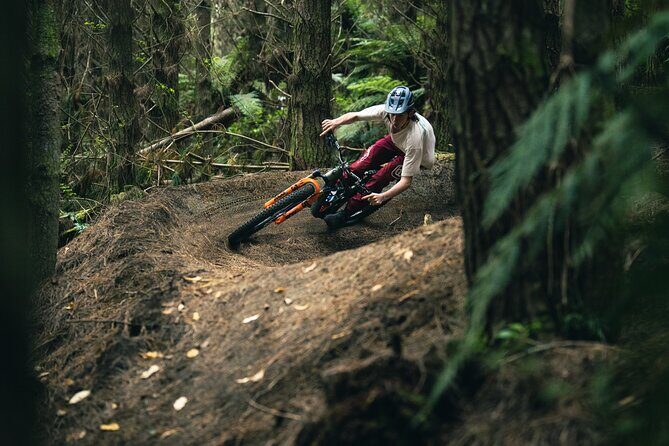 Half-Day Self-Guided Mountain Bike Journey through Whakarewarewa Redwood Forest - Who Will Love This Tour?