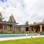 Half Day Sightseeing - Wonders of Nadi Tour - What Travelers Say