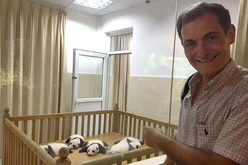 Half day small group tour to Chengdu Panda Breeding Center - The Itinerary: What You Can Expect