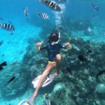Half-Day Snorkeling Tour from Papeete - A Thorough Look at the Tour Experience