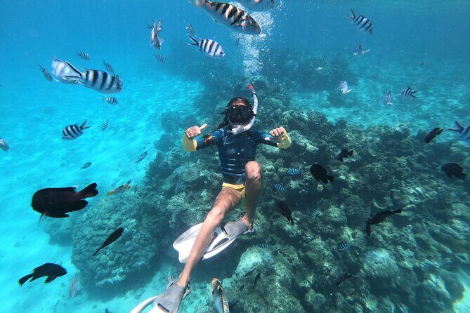 Half-Day Snorkeling Tour from Papeete - A Thorough Look at the Tour Experience