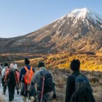 Half Day Tongariro Alpine Guided Group Walk - The Itinerary in Detail