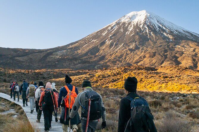 Half Day Tongariro Alpine Guided Group Walk - The Itinerary in Detail