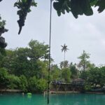 Half Day Tour at Eton Beach and Blue Lagoon with Lunch at Turtles - Drop-off and Additional Shopping