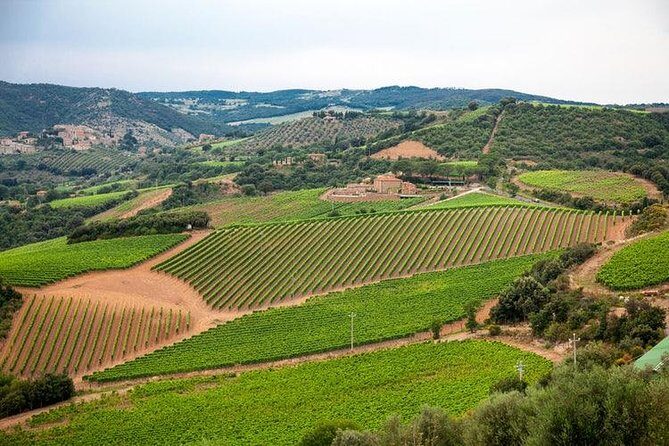 Half Day Tour Chianti Winery with San Gimignano - An In-Depth Look at the Tour