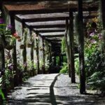 Half Day Tour from Nadi includes Local Markets, Orchid Gardens and Local Village - Shore Excursions - Authenticity and Atmosphere