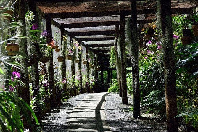 Half Day Tour from Nadi includes Local Markets, Orchid Gardens and Local Village - Shore Excursions - Authenticity and Atmosphere