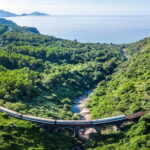 Half Day Tour in Monkey Mountain in Son Tra peninsula by Jeepney - The Experience: What to Expect