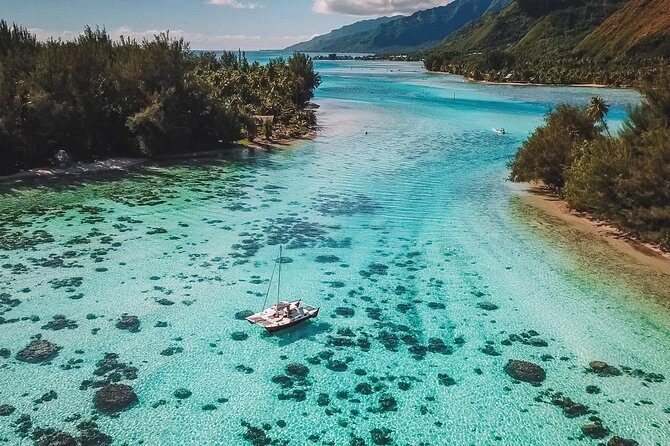Half Day Tour : Moorea Snorkeling & Sailing on a Catamaran named Taboo - An In-Depth Look at This Moorea Adventure